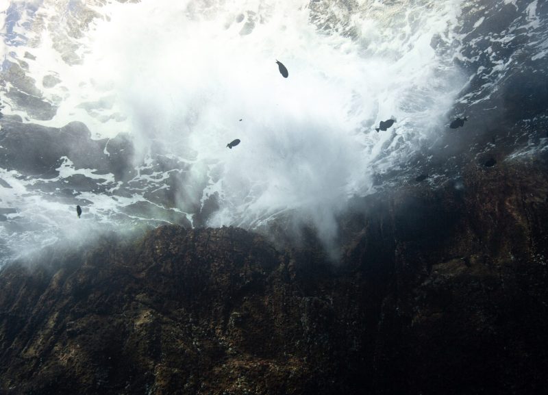 Currents and corridors: Cocos Island's - Oceanographic