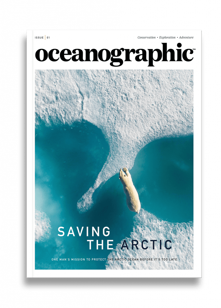 Matt Draper column: Replacing fear with fascination - Oceanographic