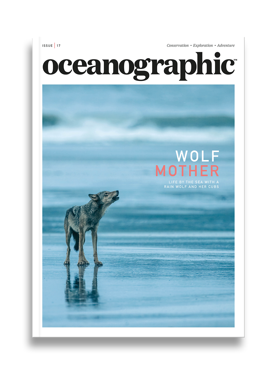 Wolves of the Pacific Northwest: Wolf mother - Oceanographic