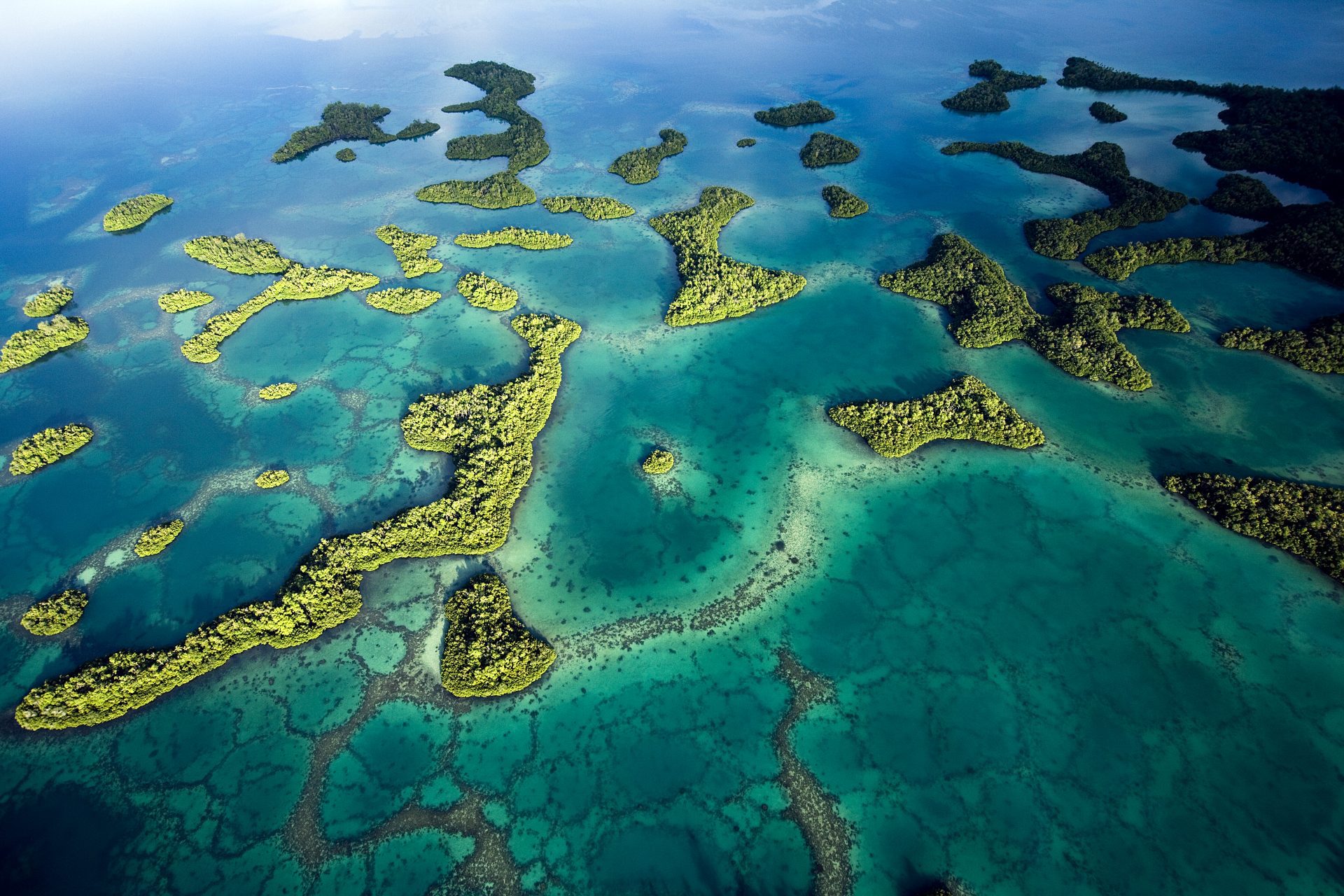 Shawn Heinrichs: Behind the lens - Oceanographic
