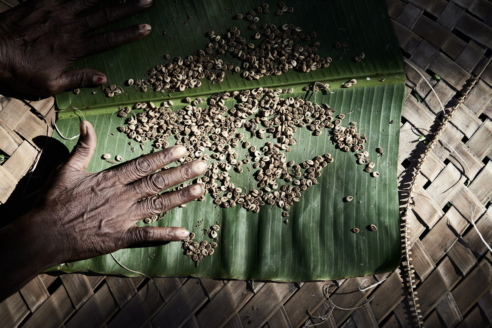 Papua New Guinea: Shell money - Oceanographic