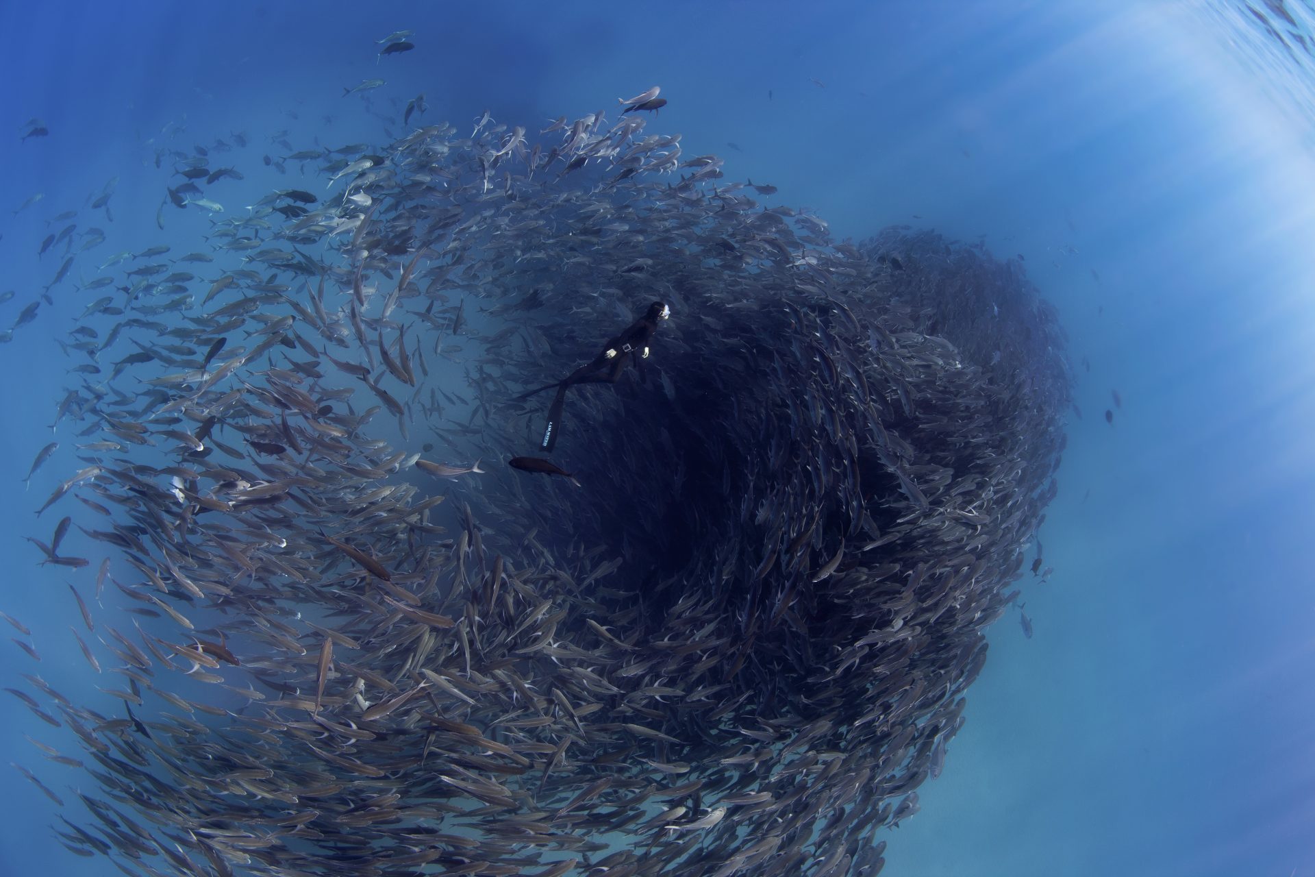 Hanli Prinsloo: No place like home - Oceanographic