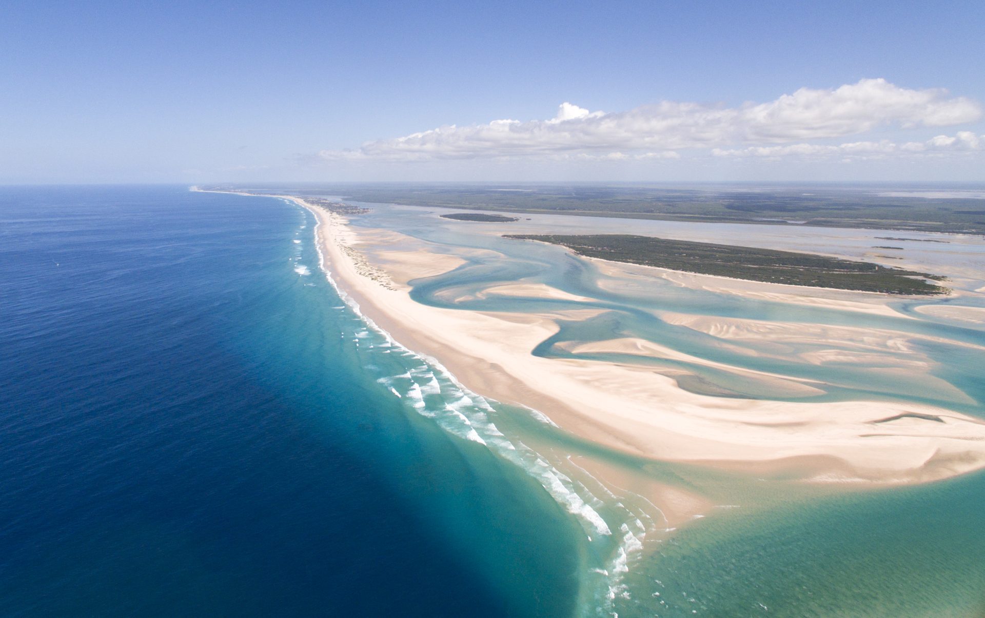 Tagging the first smalleye stingray - Oceanographic